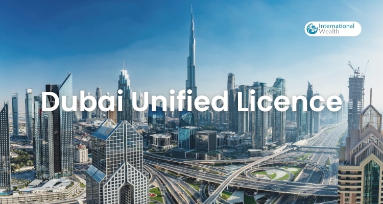 Dubai Unified License: a new step towards digitalization and economic ...